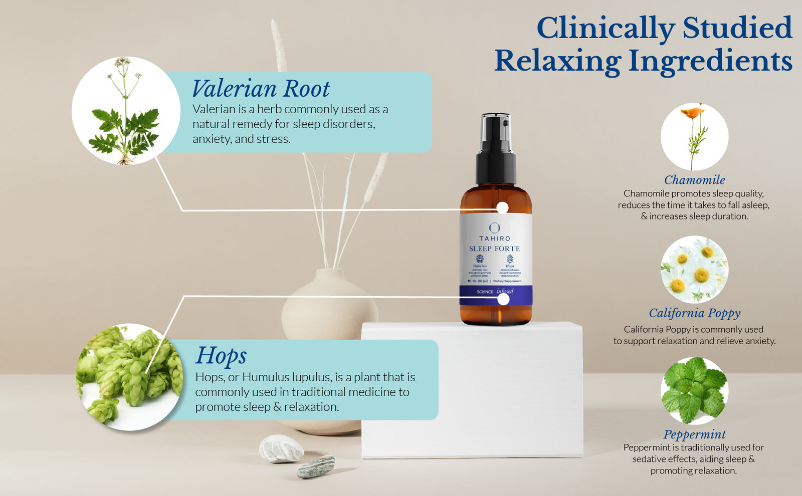 Sleep Forte. Sublingual Spray. Fast-Acting Sleep Aid Formula | Tahiro
